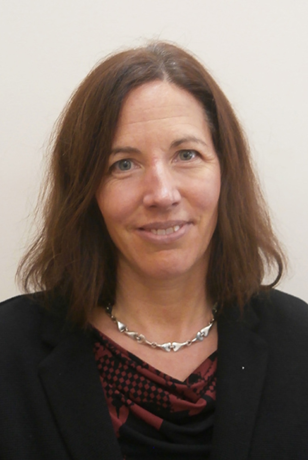 Meet the Central Team – Alban Teaching School Hub